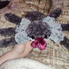 PATTERN ONLY Huggable Spider Pattern - Etsy Canada