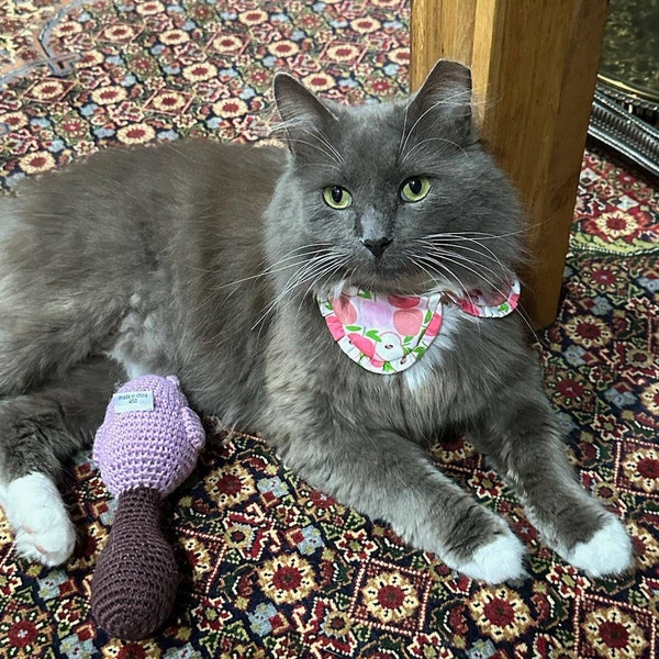 Floral Cat Collar, Shirt Cat Collar, Flowers Print Cat Collar, Styled ...