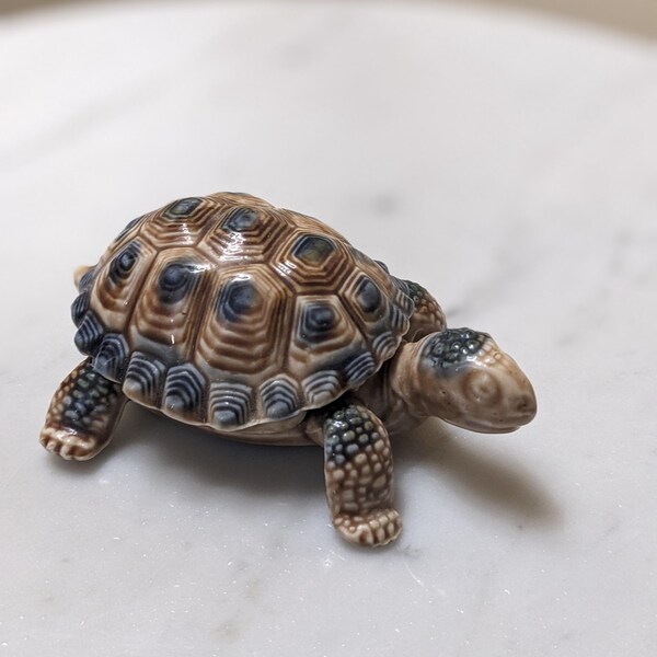 Halloween, Skull Skeleton Bulging Eyes Illuminated Blinking Eyes ...