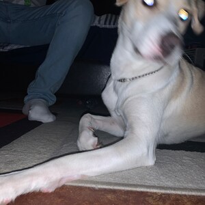 Adjustable World Map Ring Planet Earth Ring Gold/silver - Etsy