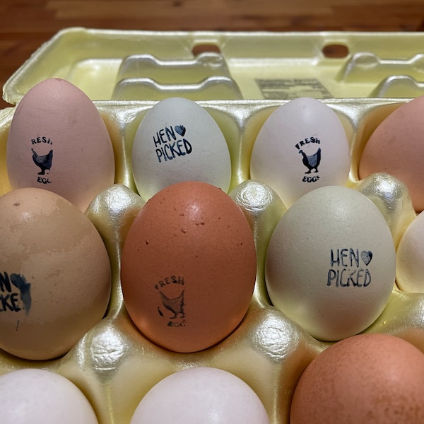 Choose 2 Egg Stamps | Mini Egg Stamp | Homesteading | Farm Stamp | Egg ...