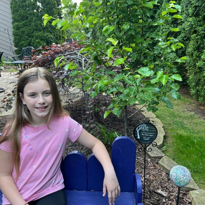 In Loving Memory Tree Personalized Round Magnetic Sign Set, Memorial ...