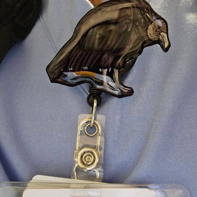 Quaker Parrot Magnet Gift for Parrot Lovers,zookeepers, Vet Techs ...