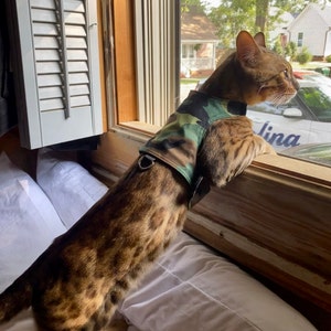 Safetykatz Walking Jacket Red Custom Made Cat Reversible | Etsy