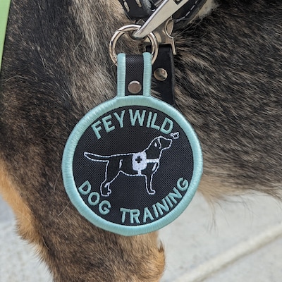 Personal Healthcare Companion Patch - Etsy