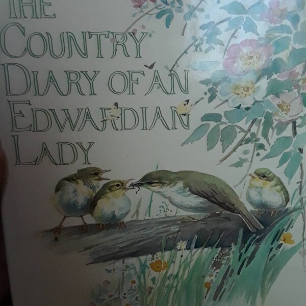 Long Arm Quilting Service - All Sizes Including California King. E2E ...