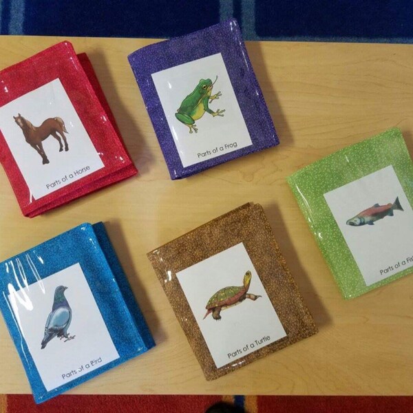 Montessori Phonetic Cards WHOLE SCHOOL PDF Downnload. Short Vowel Cards ...