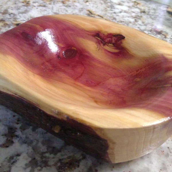One Piece Sassafras Live Edge Craft Log for Woodworking, Woodturning ...