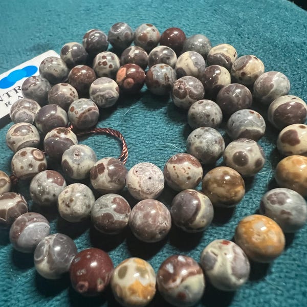 Dinosaur Coprolite Beads Dinosaur Dung Beads 4mm Round 6mm Round 8mm ...