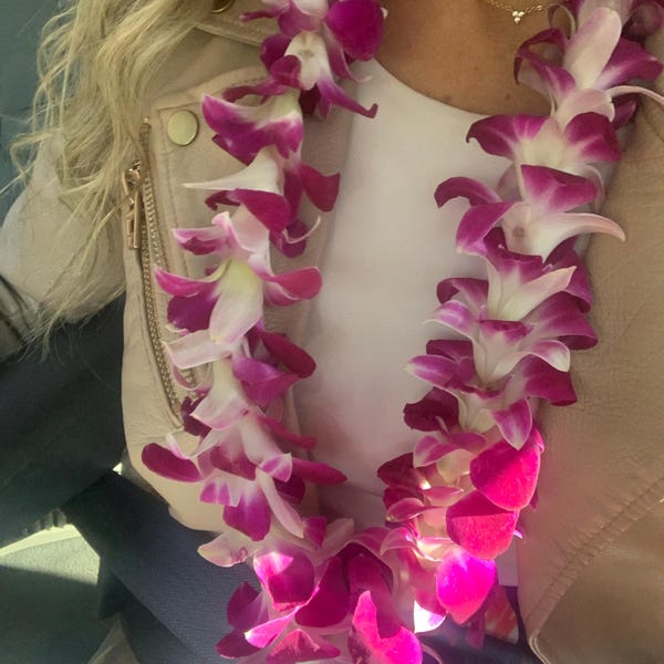 Fresh Lei "orchid Lei" From Hawaii! - Hawaiian Lei - Choose Your ...