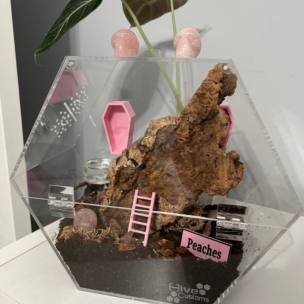 The Hive. Large Spider Cage, Bug Cage, Custom Enclosures, Hive Customs ...