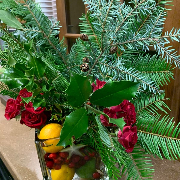 Freshly Harvested Cedar Boughs - Etsy