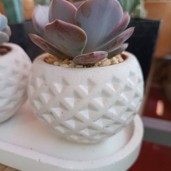 Wave Point Square ROUND Flowerpot Silicone Mold Fleshy Flowerpot ...