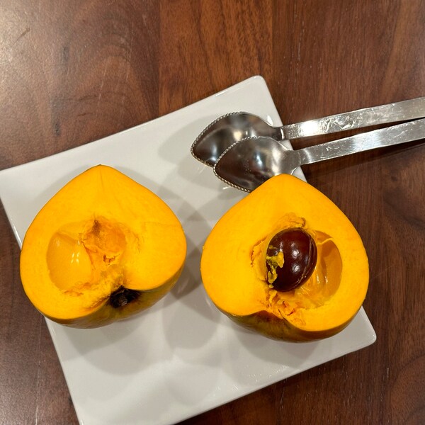 4-7LBS Medium Mamey Sapote Box - Etsy