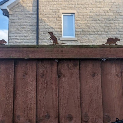 Rusty Metal Crow Fence Post Topper / Raven / Bird Art / Garden - Etsy