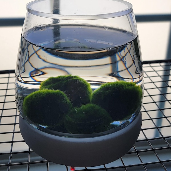 Ornament Blanks - 3.5in Circle - Patterns - Etsy