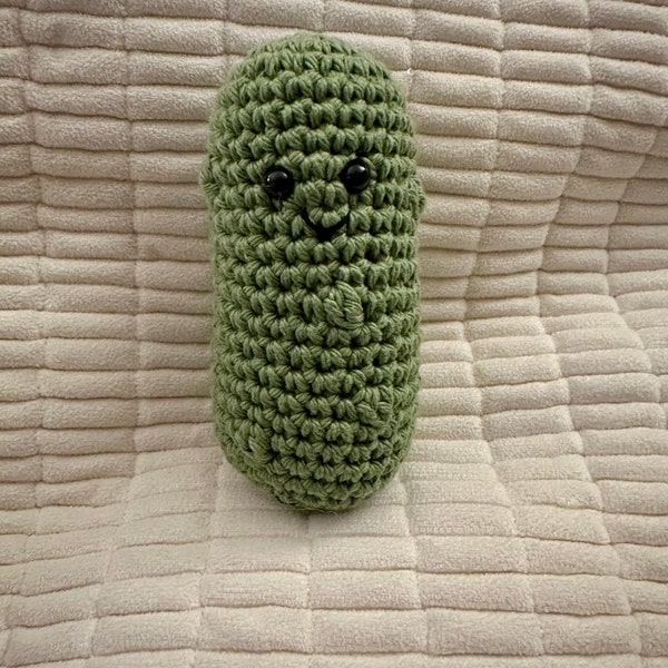 PATTERN ONLY, Easy Pickle Crochet Pattern, Instant DOWNLOAD - Etsy