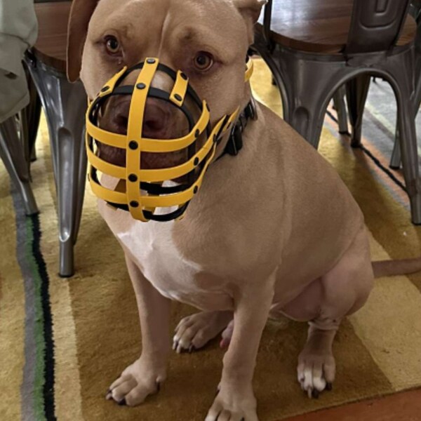 Custom Fit Muzzle for Long Nose Dogs, Waterproof Biothane - Etsy