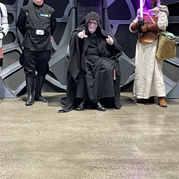 Erte Matted Print 1987 Lady With GREEN EMERALD EYES and Black Cat in ...