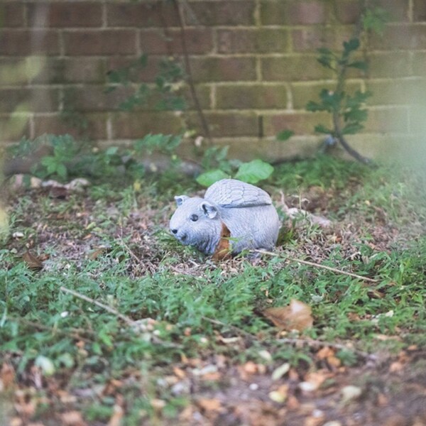 Guinea Pig Angel Statue, Concrete Pig Memorial, Remembrance Figure ...