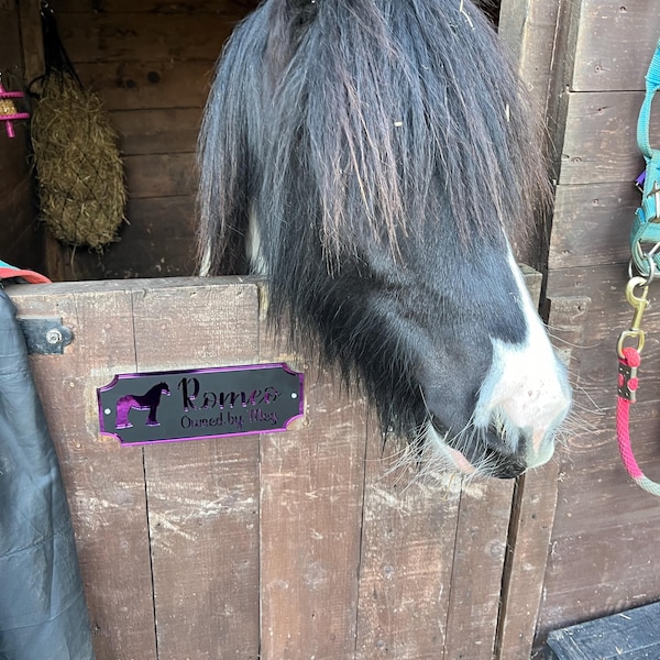 Stable Name Plate / Plaque Cut Out Traditional W/modern Twist Design ...