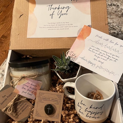 Thinking of You Care Package Care Package for Her Live Succulent Soy ...