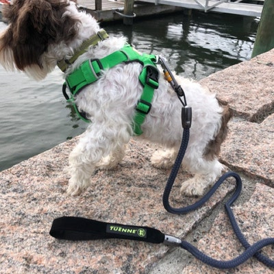 Mini Traffic Leash - Etsy