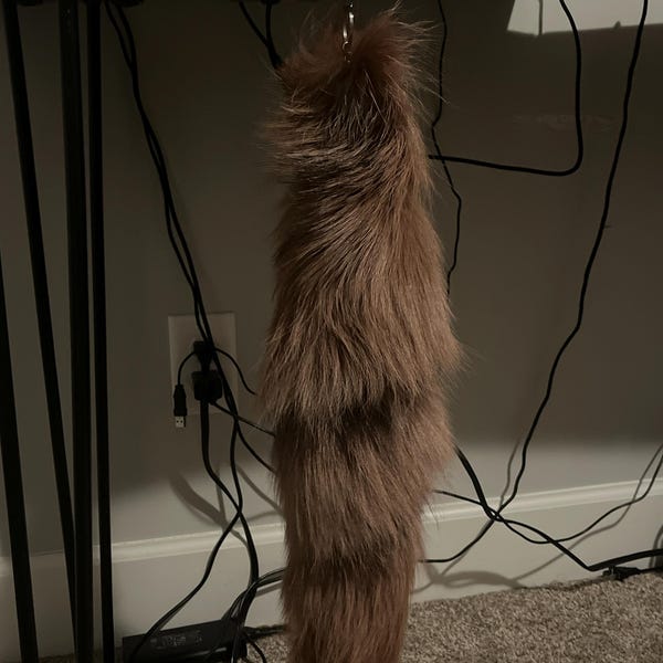 Marten Pelt, Marten Skin, Marten Hide, Marten Fur, Real Fur, Marten Fur ...