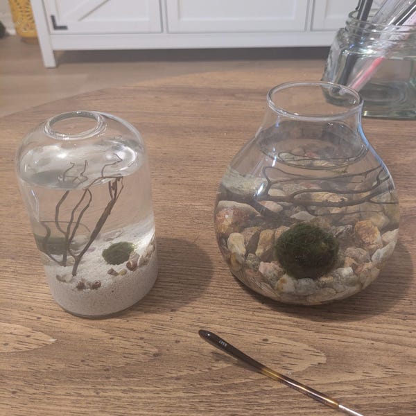 Set of 3 - Teo Mini Crystal Ball Terrarium Kit Home Office Desk ...