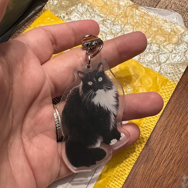 Custom Cat Keychain, Pet Portrait Keychain, Personalized Pet Photo ...
