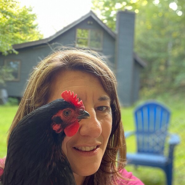 Print | Quilty Chicks | Chicken Block of the Month Quilt Pattern - Etsy