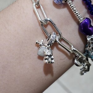 100th Anniversary Cinderella's Enchanted Charm,sliver Bracelet Charms ...