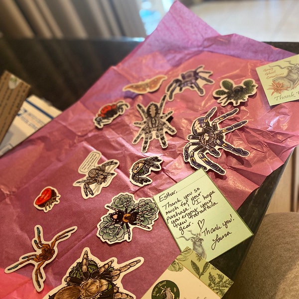 Tarantula Sticker Pack - 4 Glossy Waterproof 2.75 Inch Stickers - OBT G ...