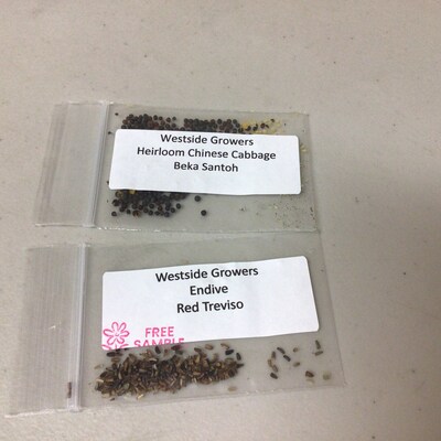 10 Calabash Gourd Seeds Bottle Gourd Asian Squash Grown/harvested in ...