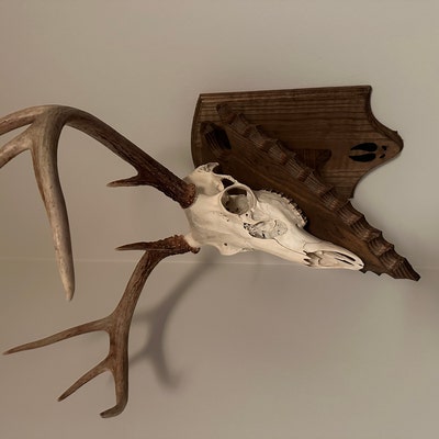 Euro Mount Pedestal - Etsy