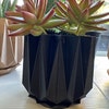 The Estrella Planter - Drainage Hole and Tray - Modern Indoor Plant Pot ...