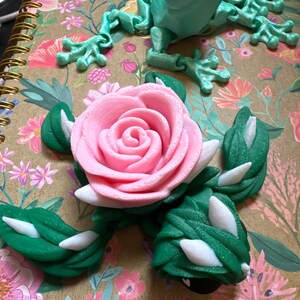 Axolotl Dragons ZOU3D Original Design - Etsy