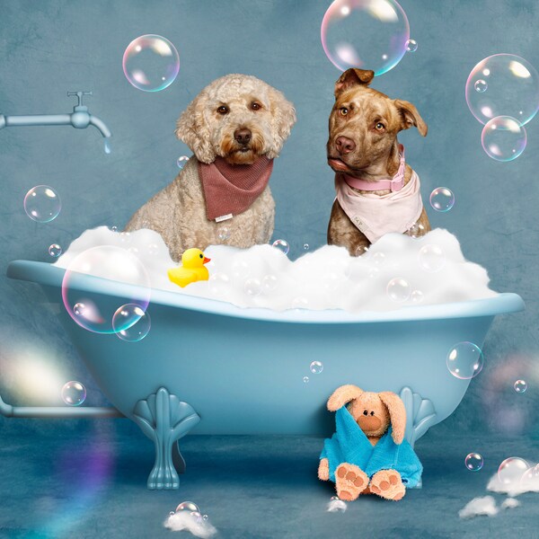 Newborn Digital Backdrop, Baby Boy Girl White Background on Photography ...