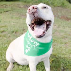 Cute Halloween Dog Bandana Witch Dog Bandana Whoa Dog E - Etsy