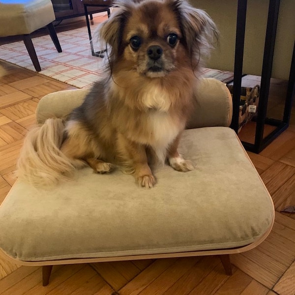 Dog Bed- PIXI - Etsy
