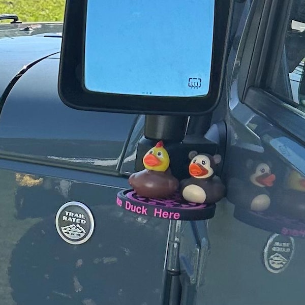 Geraldine's "girly" Duck Landing Pad for JK (2007-2018) Jl/gladiator ...