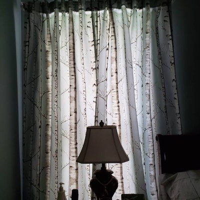 Birch Tree Curtain Panel Birch Grove in Whitestone by ...