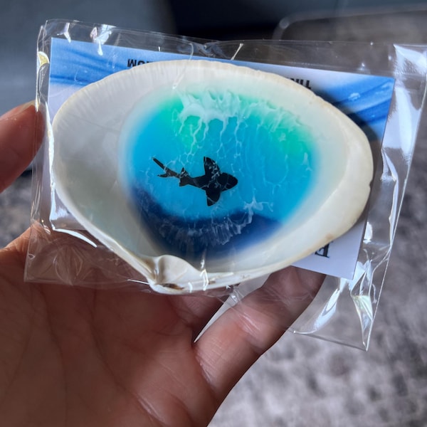 Pocket Hug Ocean Beachy Sea Creature Real Shell Friendship Gift Holiday ...