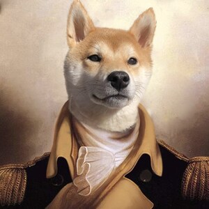 Pet Portrait Background,photoshop Digital Backgrounds, Template, Pet ...