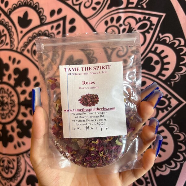 Osha Root - Wild Harvested Fresh Organic Herbs - Etsy