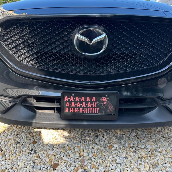 Light Blue Seashells Beachy License Plate Frame Ocean Vanity Car Tag ...