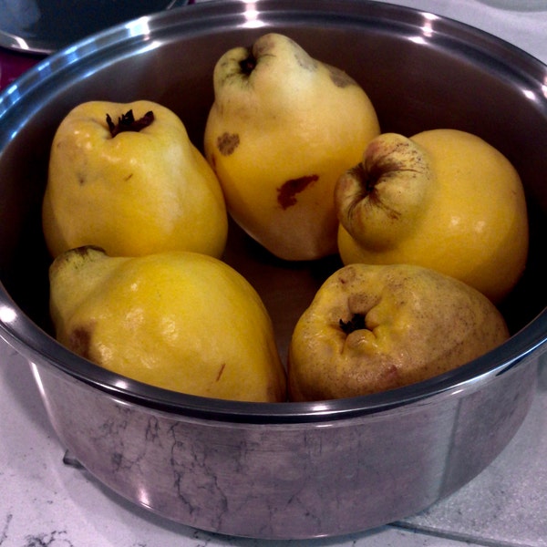 Famous Walnut and Almond Damascus Dessert, Homemade Pure Damascus ...