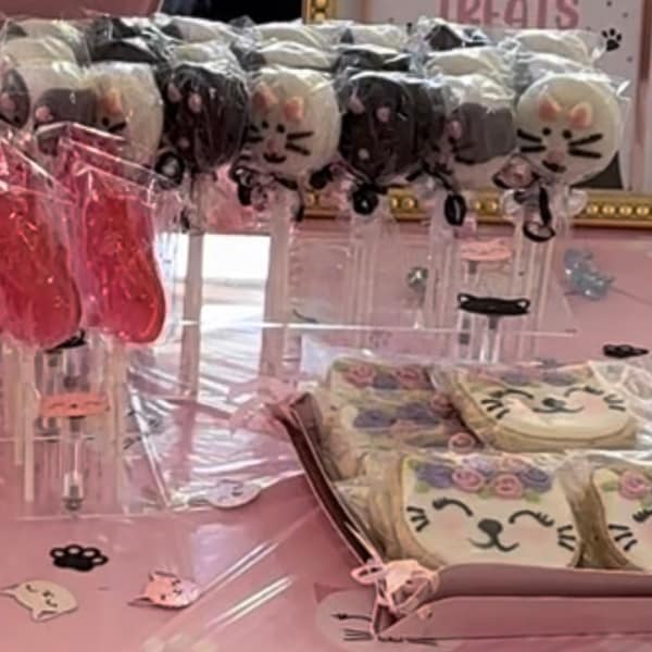 Cat Oreo Cookie Pops / Cat Birthday Party Favor / Chocolate Covered ...