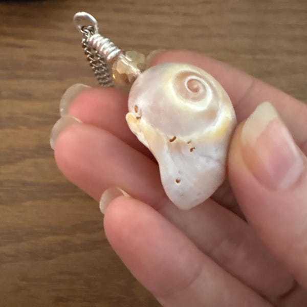 Shark Eye Shell Mermaid Necklace. Seashell Necklace. Shell Jewelry ...