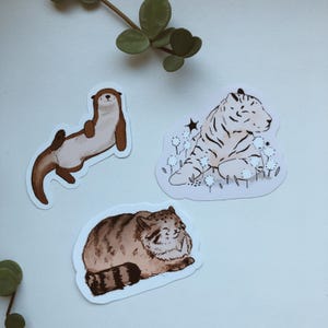 Red Panda Sticker Pack Waterproof Vinyl Cute Kawaii Glossy Stickers ...